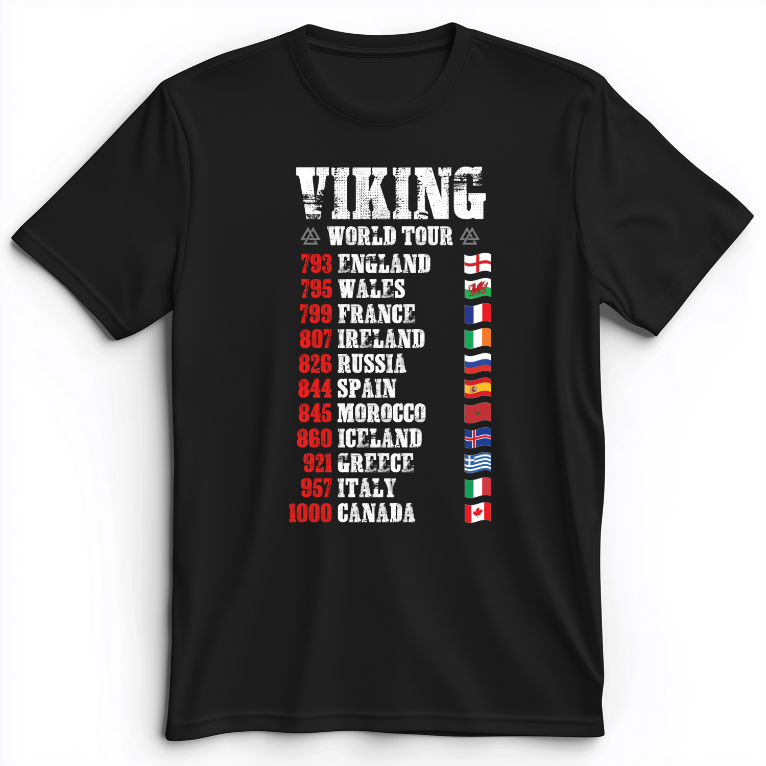 Viking World Tour High Quality Tee HistoreeTees